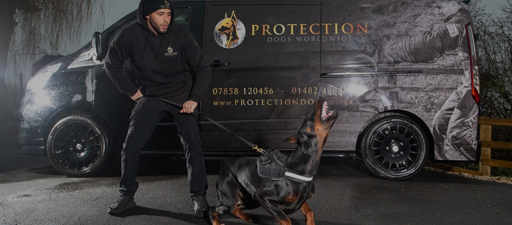 Protection Dogs Worldwide- Perfect Dogs for your Family! Protection ...