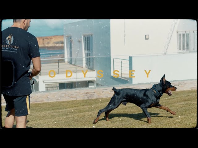 New Video page - Protection Dogs Worldwide USA Protection Dogs ...